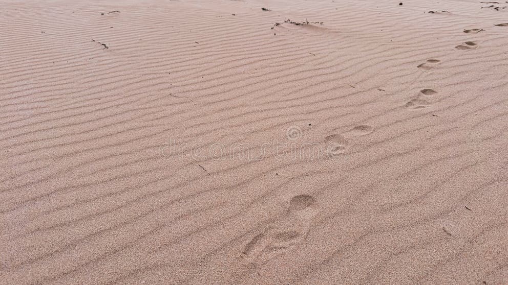 Footprints on Sandy Beach with Ripples and Minimalist Natural Patterns ...