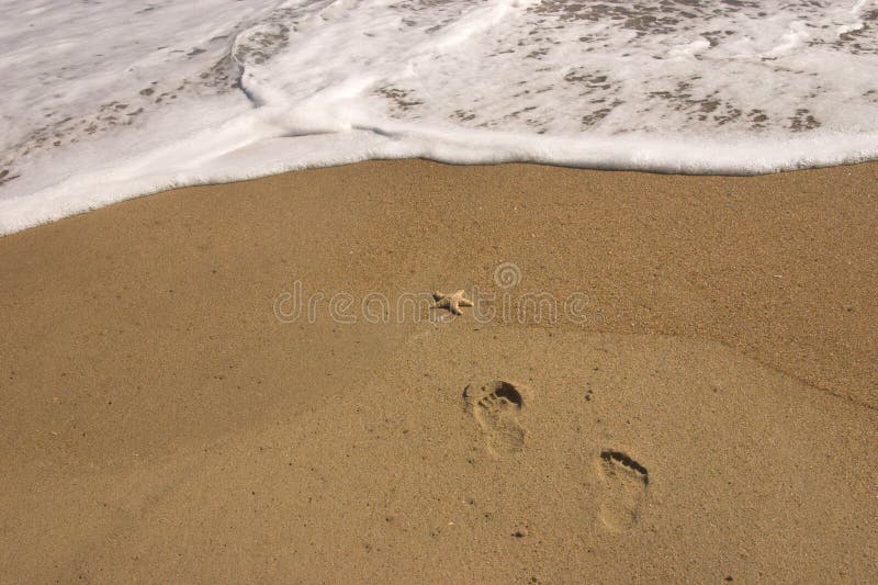 Footprints and Seafoam stock image. Image of ocean, beach - 1497551