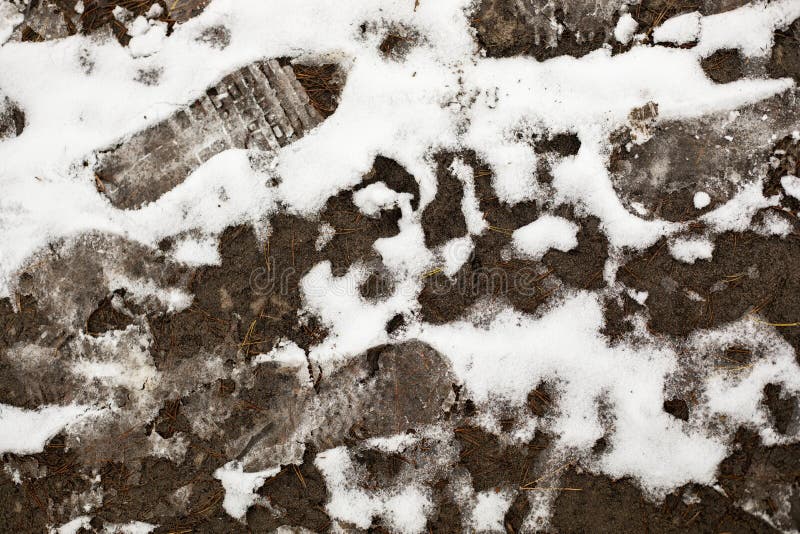 Footprints from Shoes on the First Snow in the Forest for a Walk ...