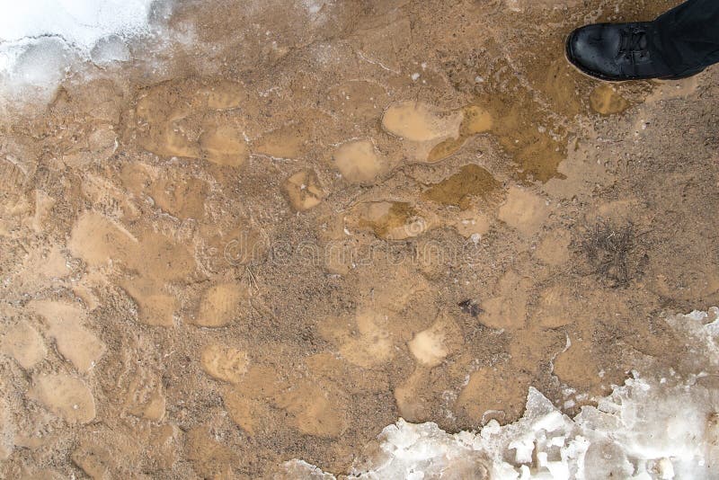 Footprints in the slush stock image. Image of concept - 86120269