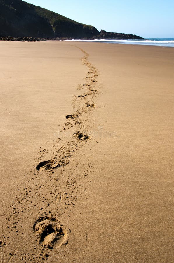 Footprints through Smooth Sandy Beach at Low Tide Stock Photo - Image ...