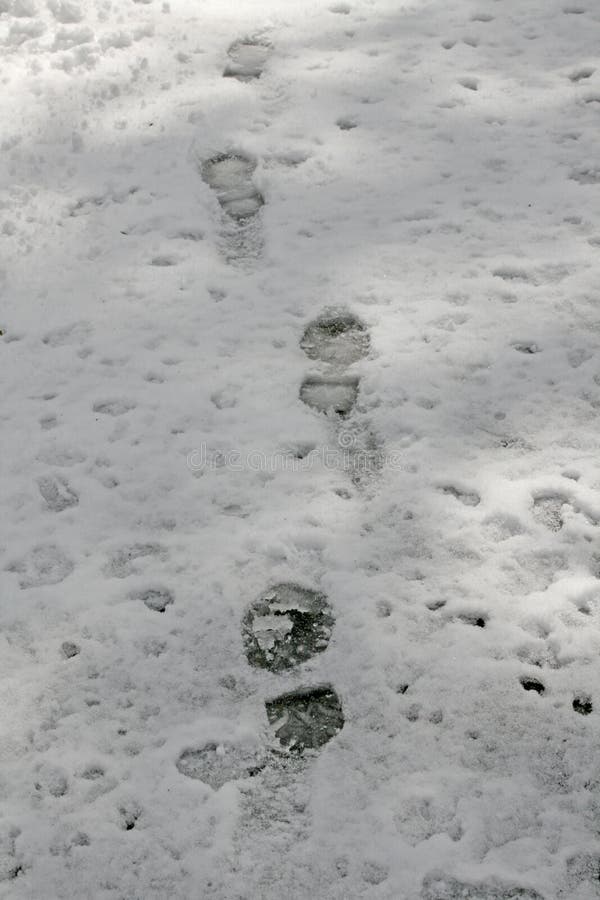 Footprints in the snow stock photo. Image of cover, snowy - 12260890
