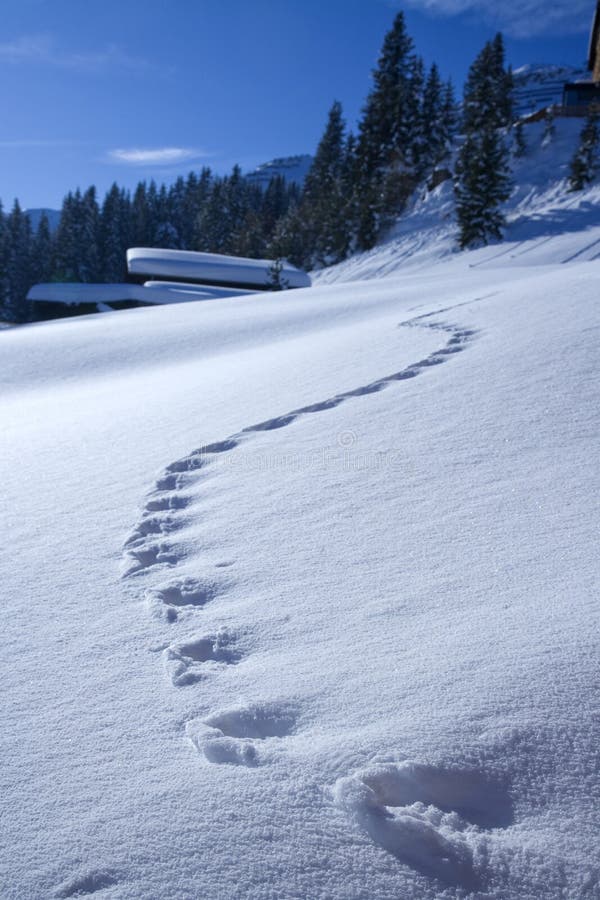 Footprints in snow stock photo. Image of path, holiday - 13389324