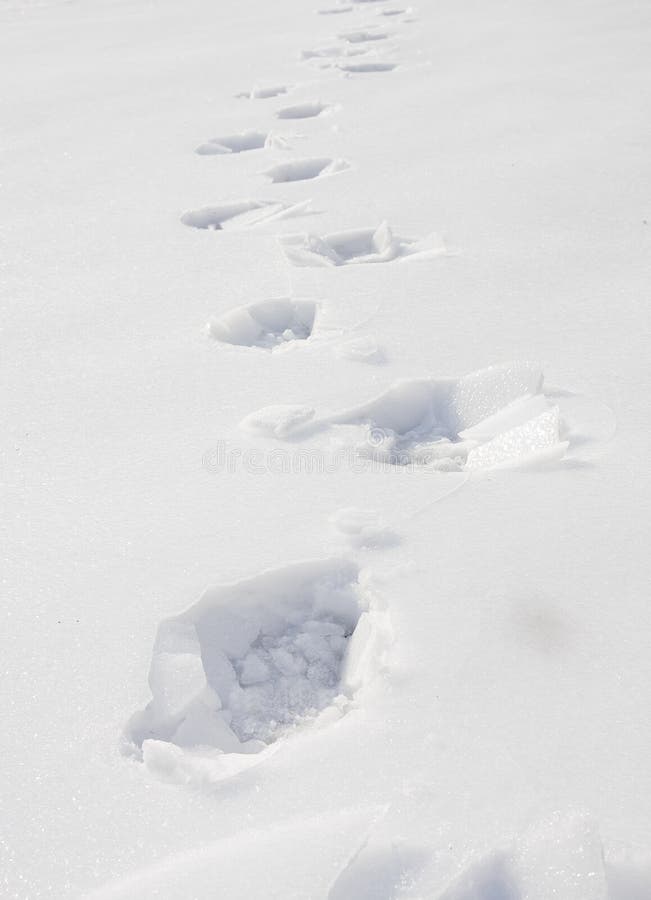 Footprints in Snow stock image. Image of snow, white - 18378907
