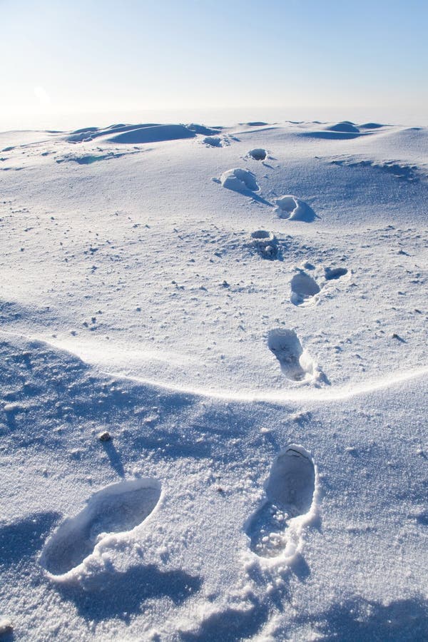 Footprints in the snow stock image. Image of lane, empty - 16732715