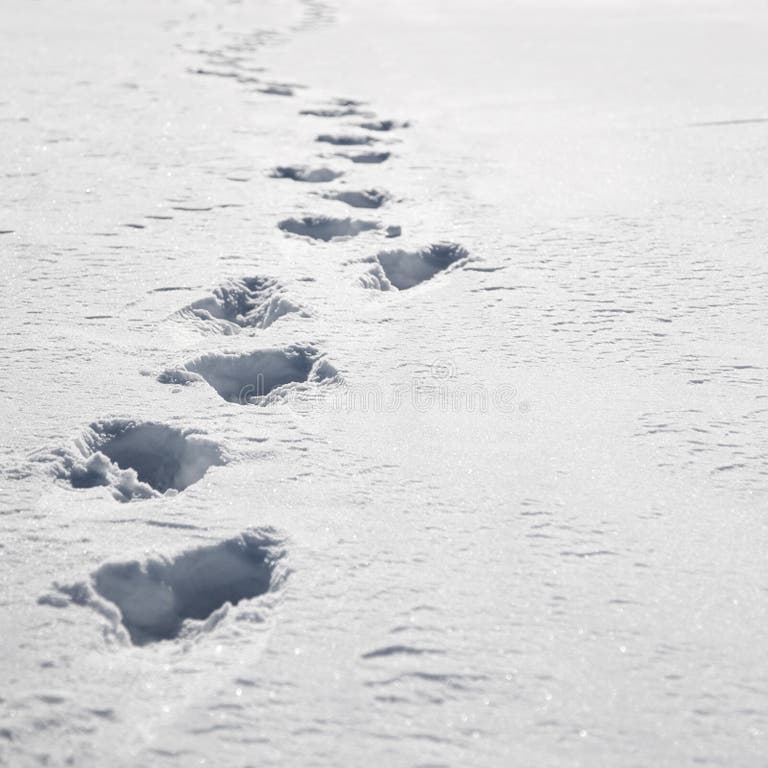 4,056 Footprints Shadow Stock Photos - Free & Royalty-Free Stock Photos ...