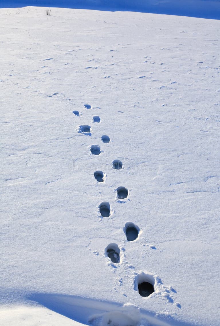 2,086 Footprints Deep Snow Stock Photos - Free & Royalty-Free Stock ...