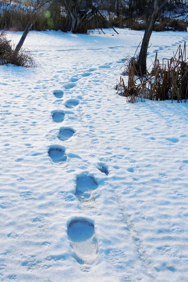 Footprints in the snow stock image. Image of nature, journey - 84785291