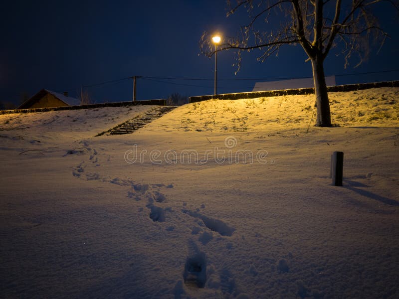 Footprints in the Snow during a Cold Winter Night Stock Photo - Image ...
