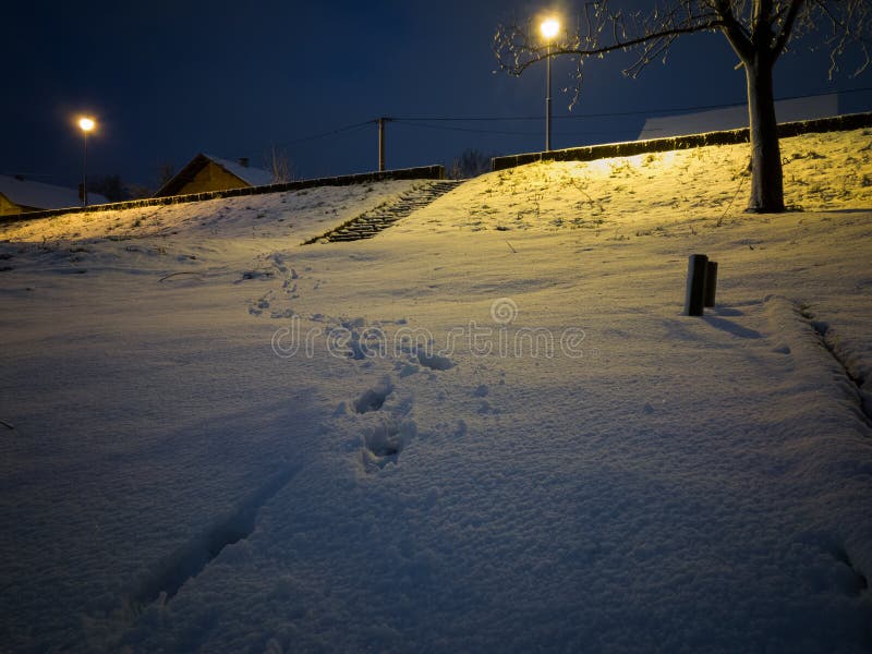 Footprints in the Snow during a Cold Winter Night Stock Image - Image ...