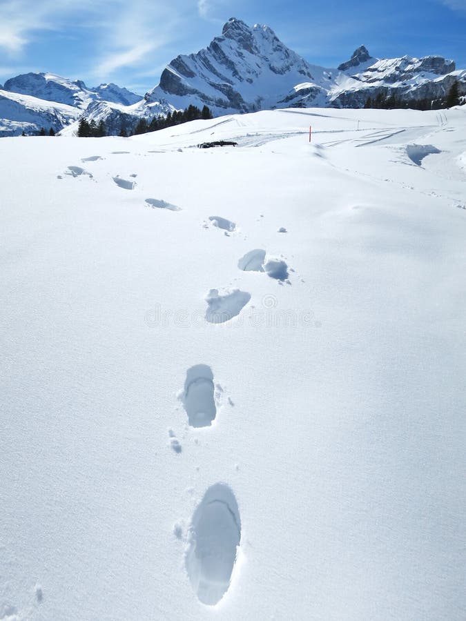 Footprints on the snow stock image. Image of footprint - 51202801