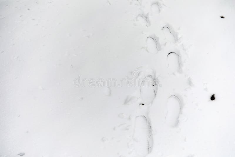 Footprints in the Snow. Footprints on the First Snow Stock Image ...