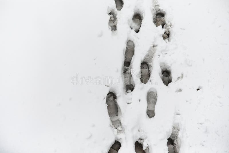 Footprints in the Snow. Footprints on the First Snow Stock Photo ...