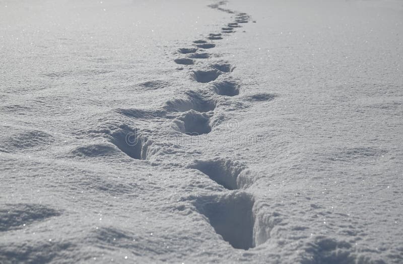 Footprints in the snow stock image. Image of january - 250749347