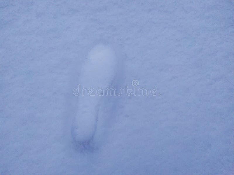 Footprints in the Snow. Human Footprints in the Snow. Winter Landscape ...