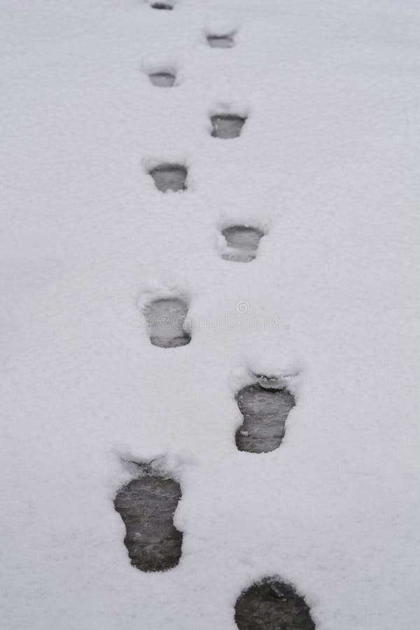 Footprints in the snow stock photo. Image of undisturbed - 381812628