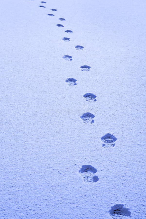 Footprints in the Snow Show a Path for Progress Walking Alone Solitary ...