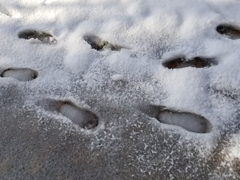 Footprints in the snow stock photo. Image of grey, daynnaturenclose ...