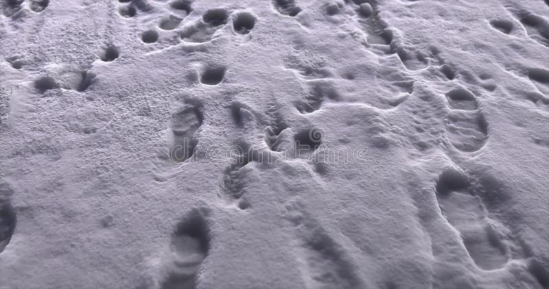 Footprints in the Snow Loop Stock Video - Video of hiking, deep: 148576323