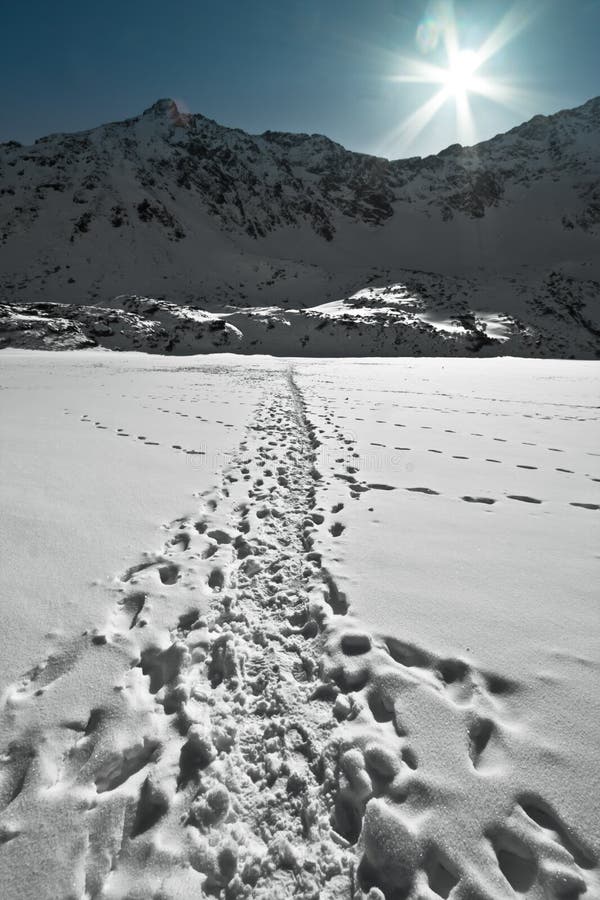 Footprints in the Snow stock photo. Image of frozen, mountains - 42812858