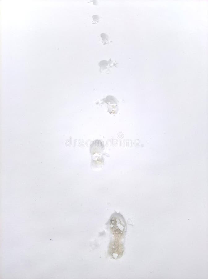 Footprints Straight in the Snow Stock Photo - Image of footprint ...