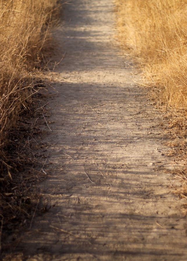 Footprints on the Trail stock photo. Image of walking - 10508856