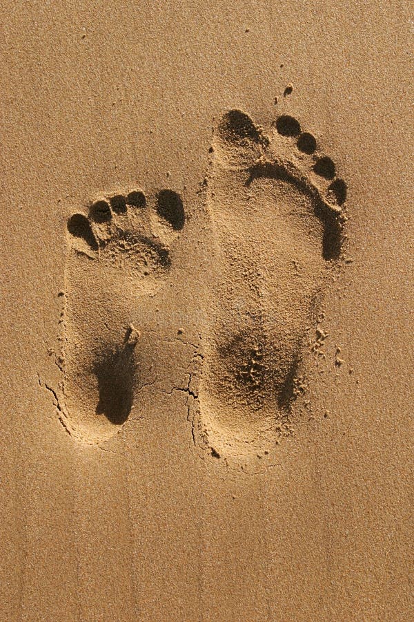 Footprints in the Sand stock image. Image of footprint - 32966465