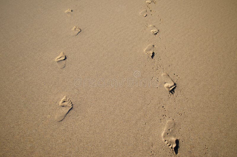 Go Back Footprint Stock Photos - Free & Royalty-Free Stock Photos from ...