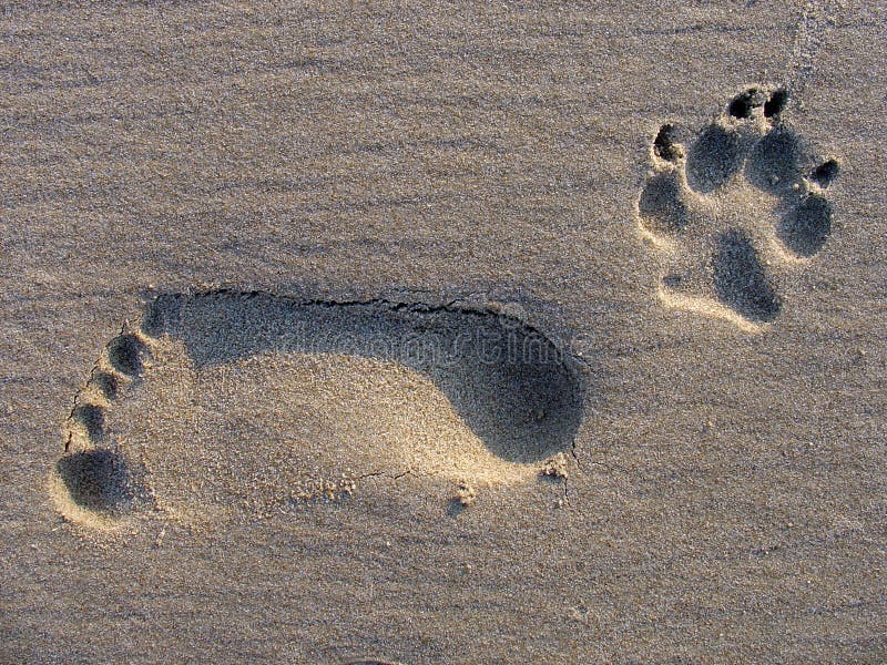 Footstep Stock Images - Image: 1073124