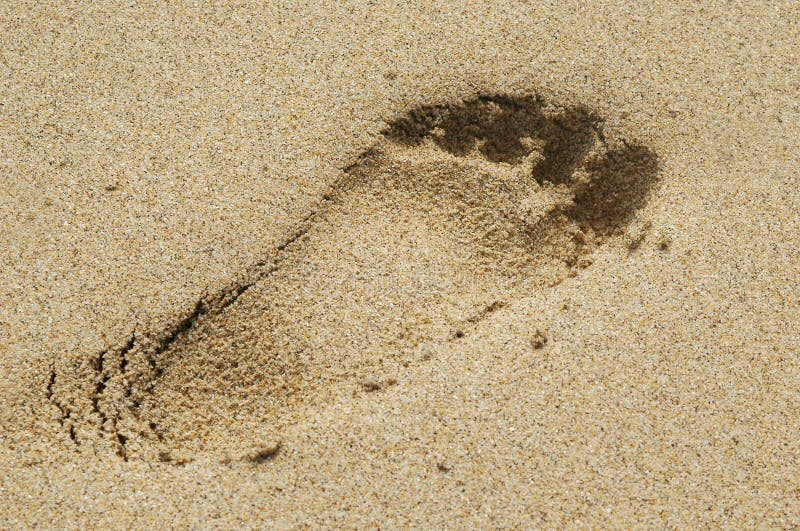 Footstep stock photo. Image of grains, beaches, resort - 3402258