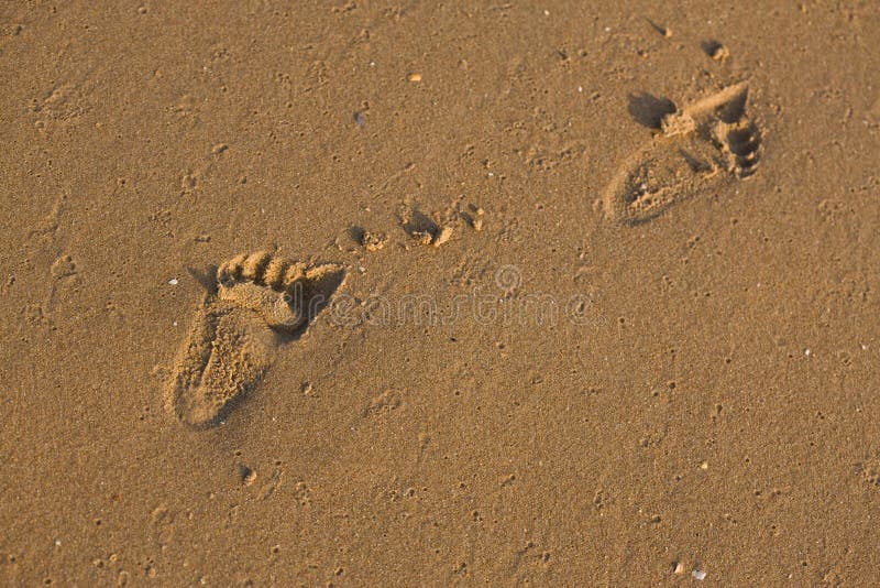 Footstep stock image. Image of footstep, background, little - 7704021
