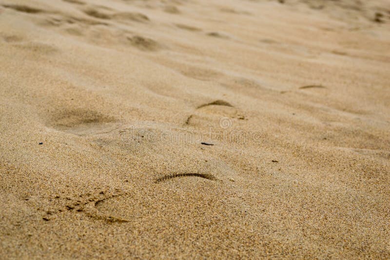 Footstep on sand stock image. Image of seashore, grains - 30172123