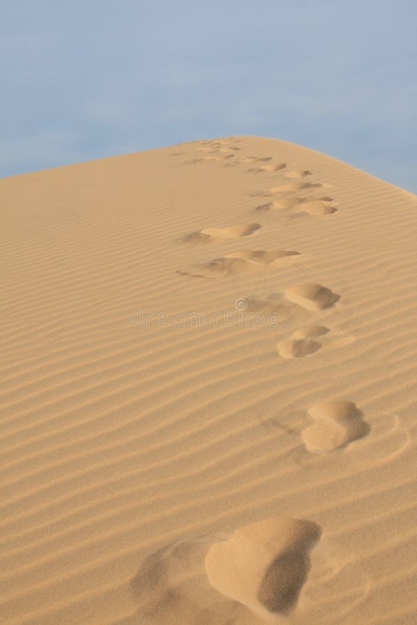 Footsteps stock photo. Image of adventure, area, foot - 16640348