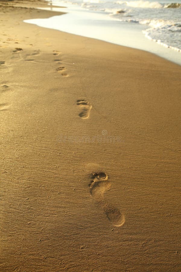 Footsteps stock photo. Image of seashore, leisure, nature - 22529794