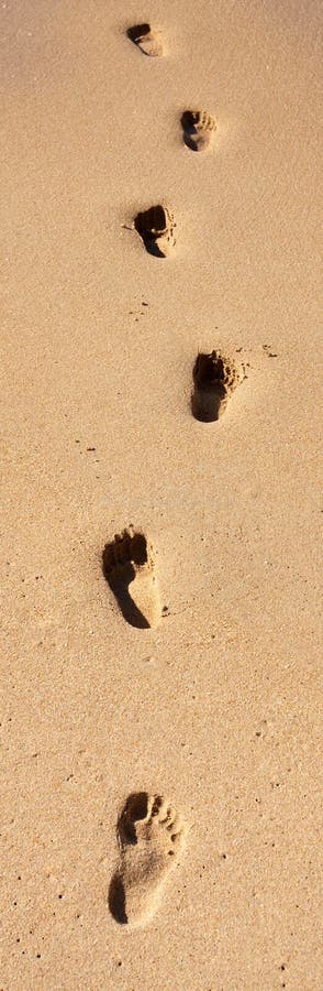 Footsteps stock photo. Image of sunlight, building, beach - 29073218