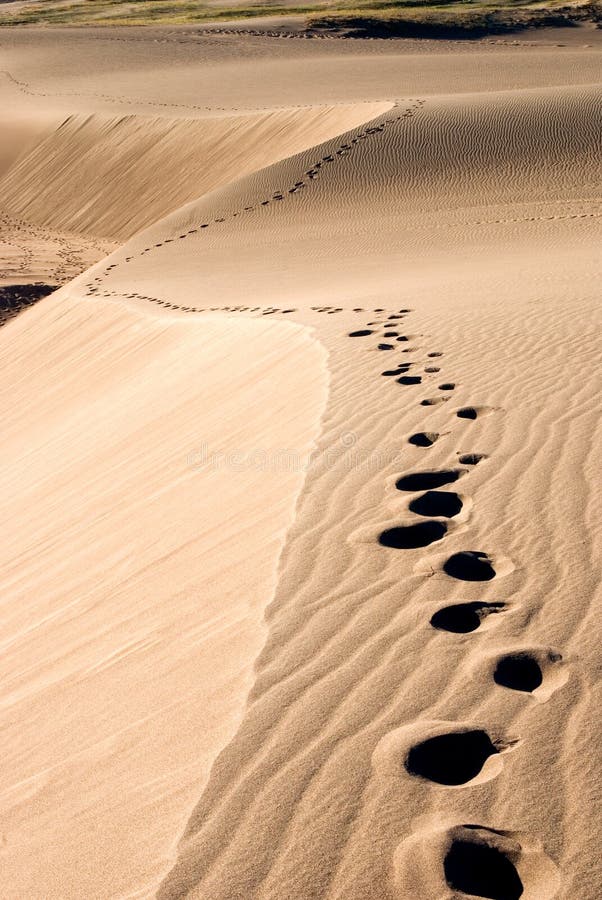 Footsteps stock photo. Image of nature, footprint, footsteps - 5356204