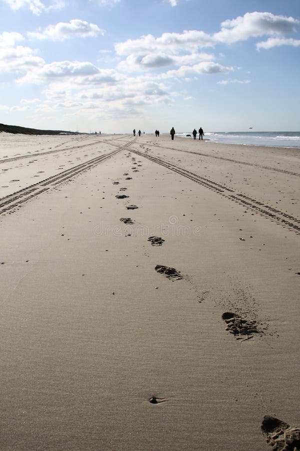 Footsteps on the beach stock photo. Image of sand, people - 11528608