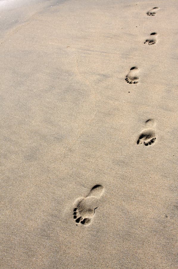 231 Footsteps Beach Vertical Stock Photos - Free & Royalty-Free Stock ...
