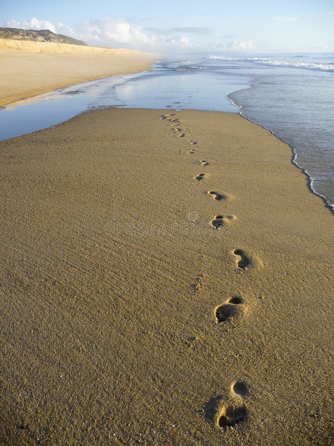 Footsteps on the beach stock photo. Image of nature, foot - 23502186
