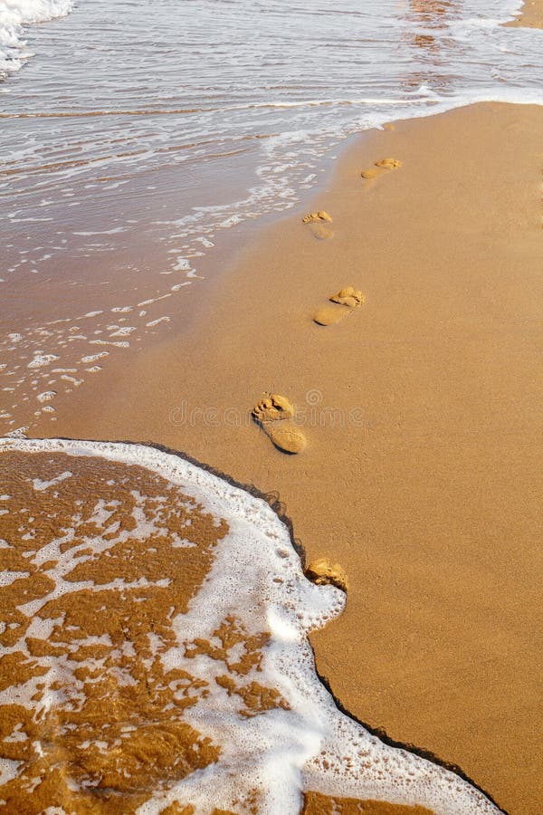 Footsteps on the beach stock photo. Image of holiday - 27927392