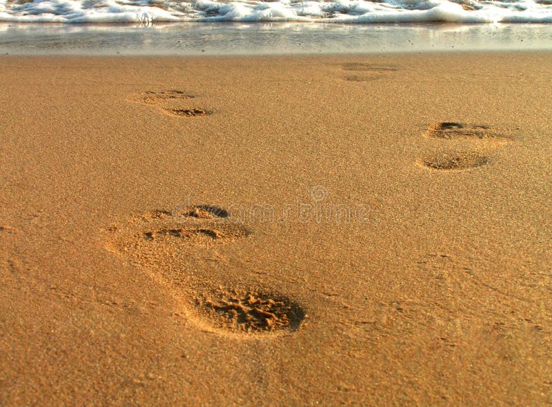 Footsteps on beach stock image. Image of exploration, search - 5214629