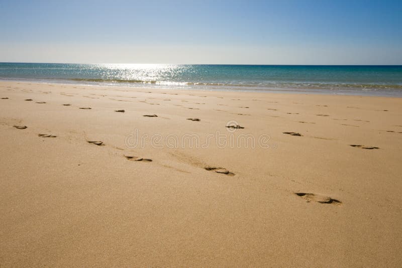 Footsteps on the beach stock photo. Image of explorer - 5767180