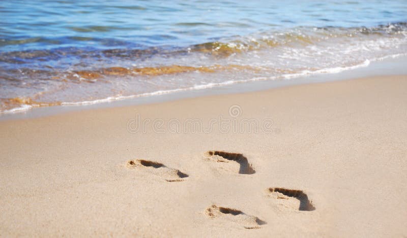 Footsteps on the beach stock photo. Image of footsteps - 6277932