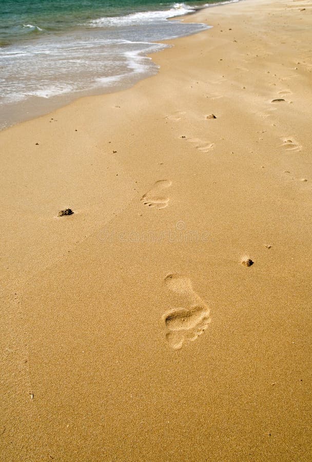 Footsteps On The Beach Picture. Image: 6634491