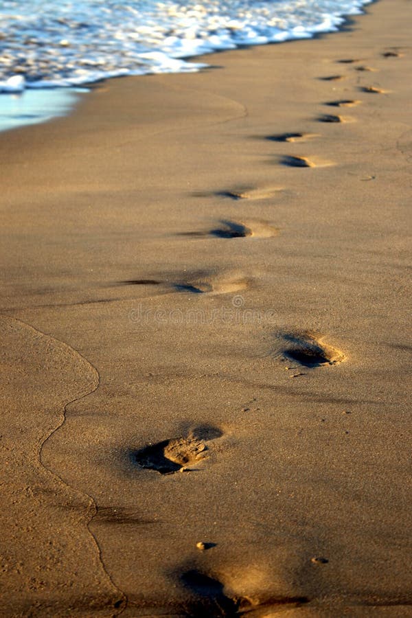Footsteps On The Beach Picture. Image: 7041172