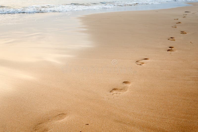 Footsteps on the beach stock image. Image of indian, hawaii - 81911347