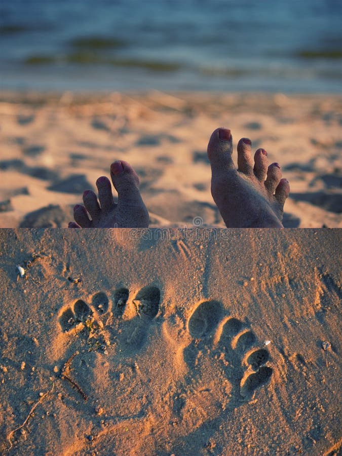 Footsteps on beach stock photo. Image of landscape, footstep - 85470184