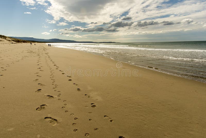 Footsteps on the Beach Perspective Stock Photo - Image of families ...
