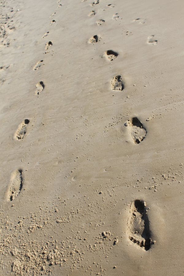Footsteps on the beach stock image. Image of path, summer - 60479047