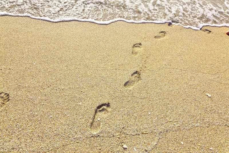Footsteps at the beach stock photo. Image of america - 59319052